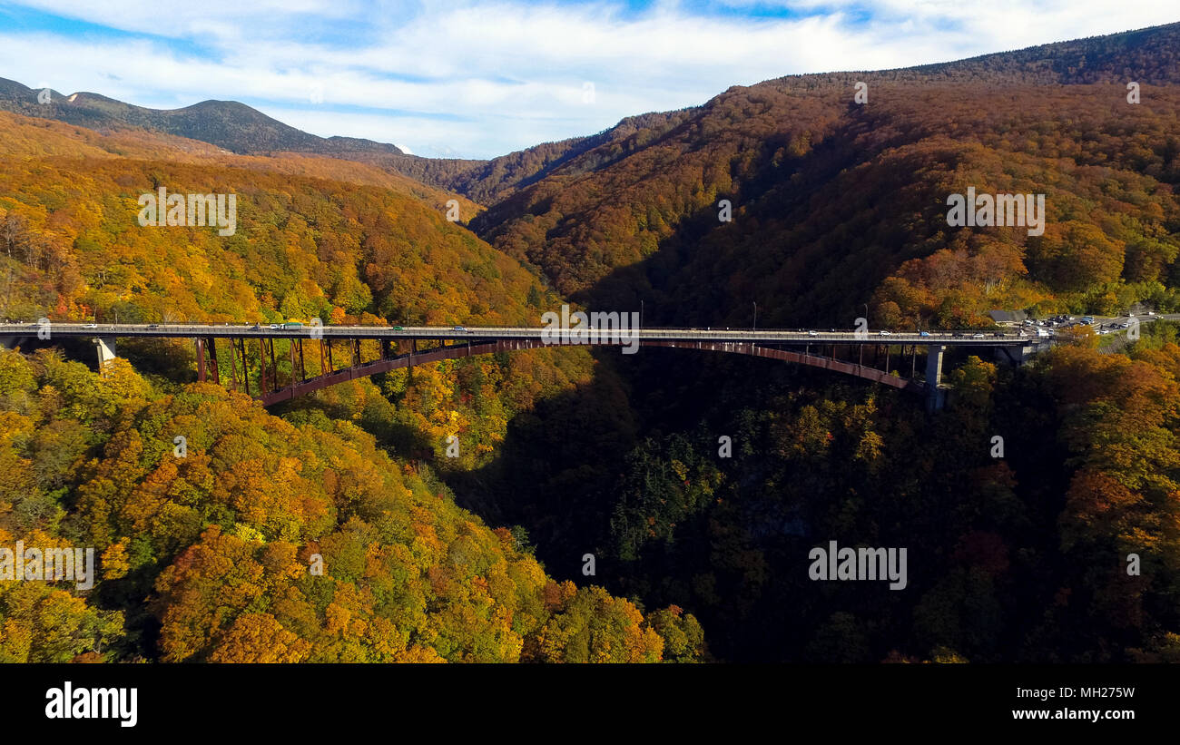 0078 hi-res stock photography and images - Alamy