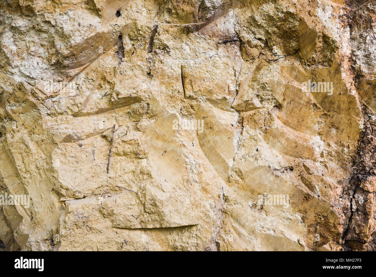 Yellow clay, cut of soil, beautiful layers of earth, career Stock Photo ...