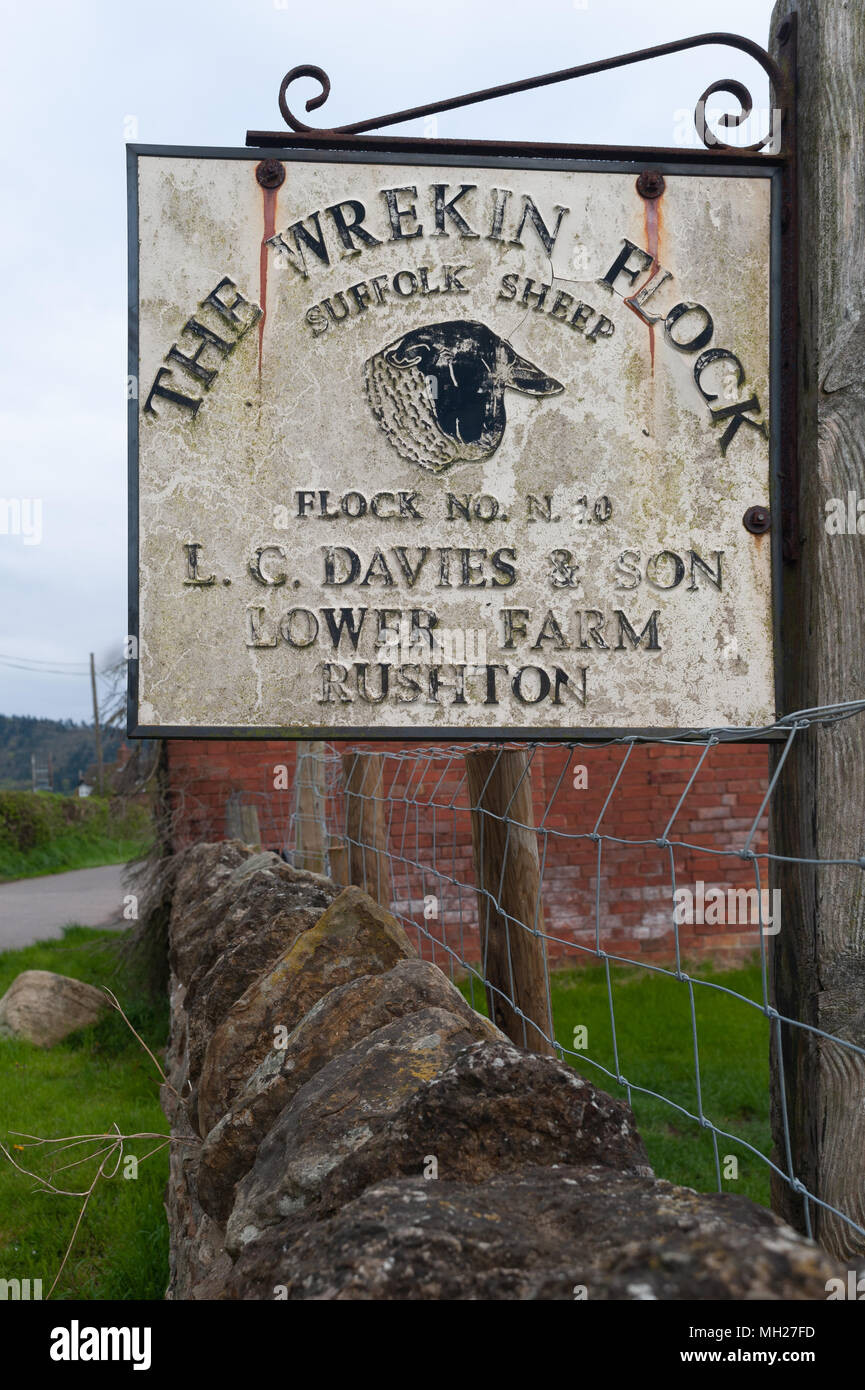 vintage farm sign for the Wrekin Flock on a farm at Rushton in ...