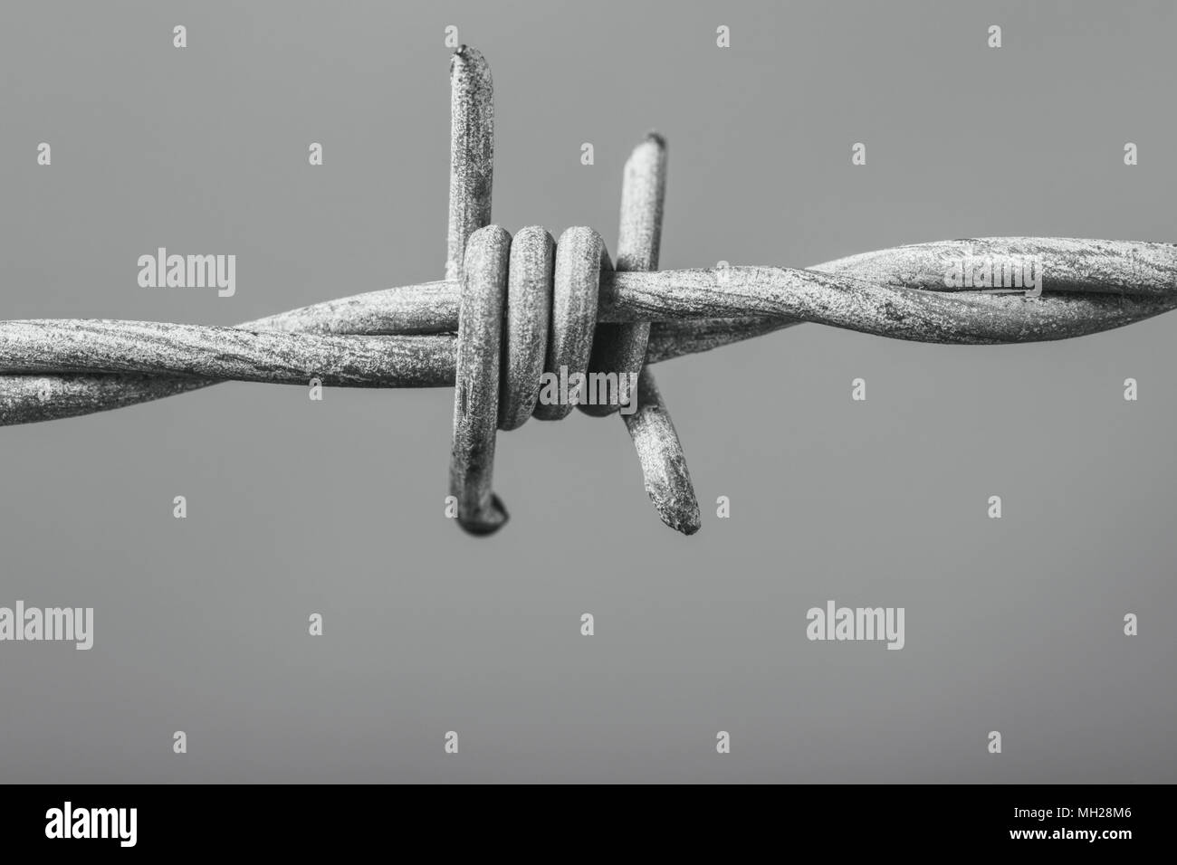 Barbed wire hi-res stock photography and images - Alamy
