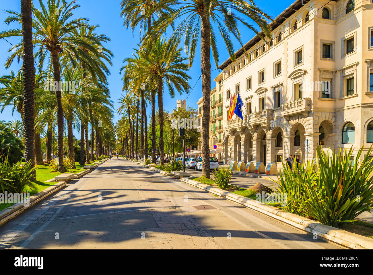 MAJORCA ISLAND, SPAIN - APR 13, 2013: Alley with palm trees and ...