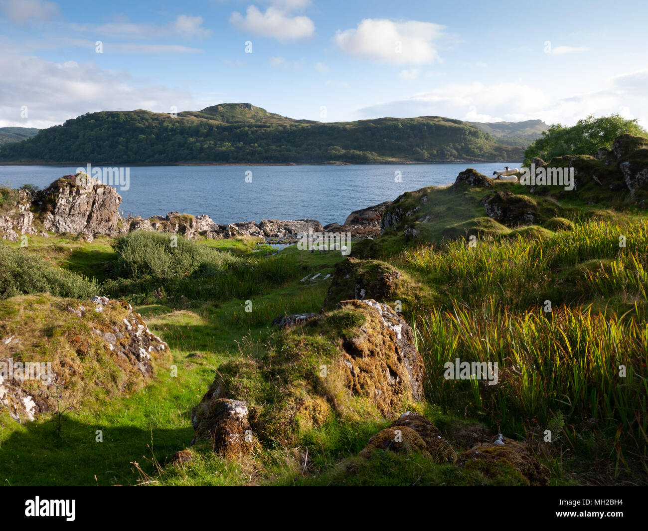 Gavin maxwell cottage hi-res stock photography and images - Alamy