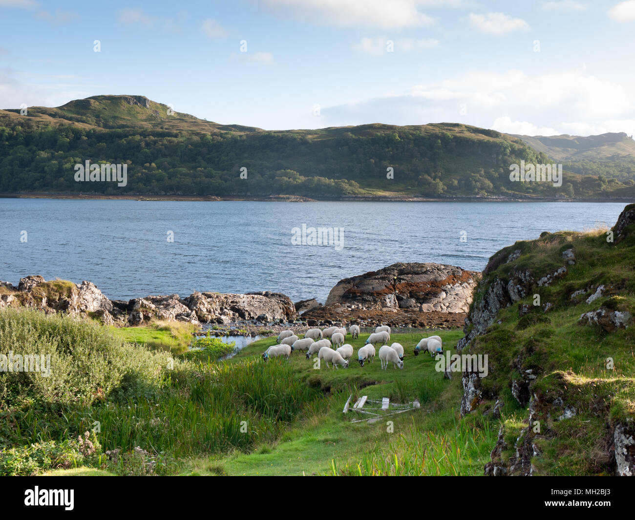 Gavin maxwell cottage hi-res stock photography and images - Alamy