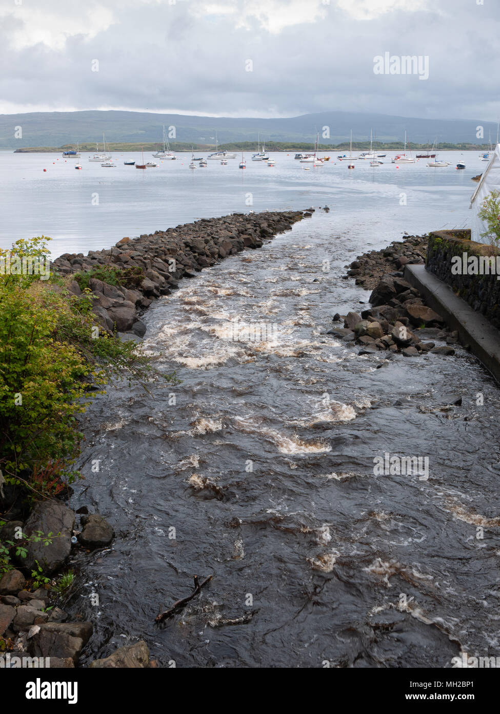Stream entering the sea, Tobermory, Isle of Mull, Scotland, UK Stock ...