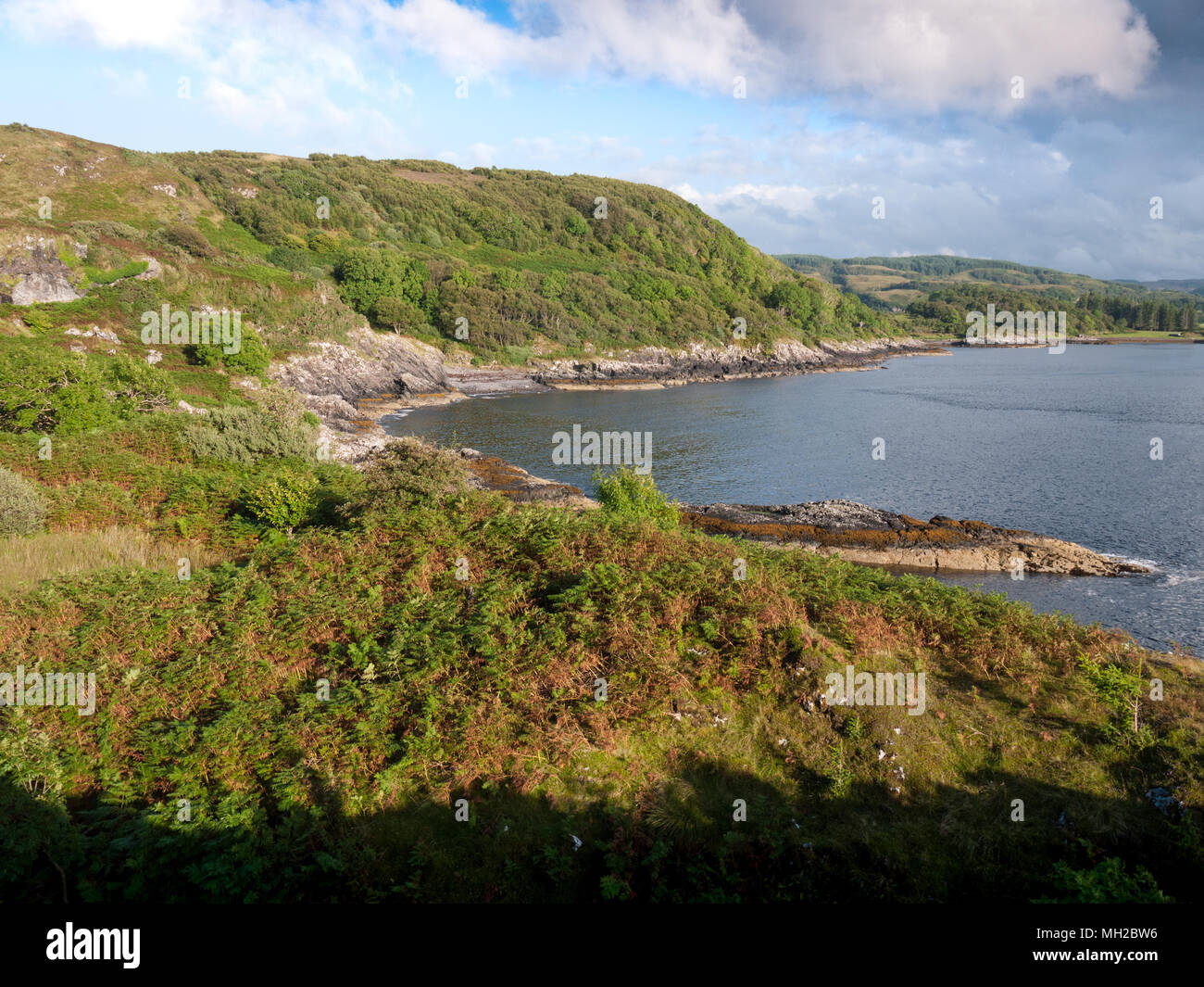Maxwell croft hi-res stock photography and images - Alamy