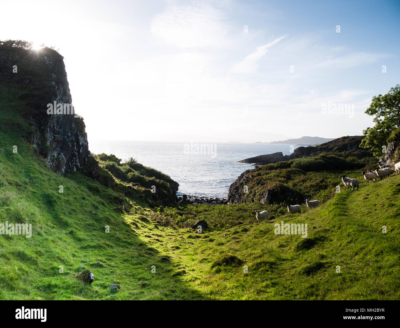 Gavin maxwell cottage hi-res stock photography and images - Alamy