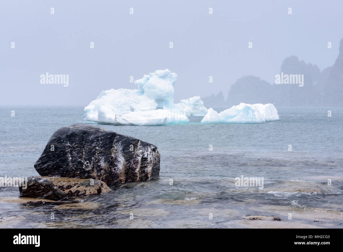 Nature of Antarctica Stock Photo - Alamy