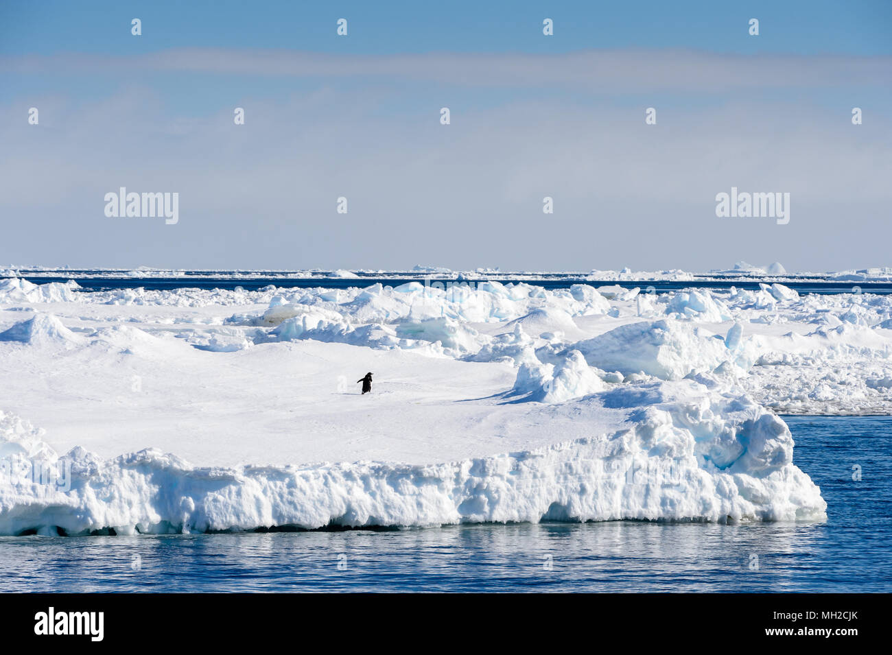 Beautiful nature of ANtarctica Stock Photo - Alamy