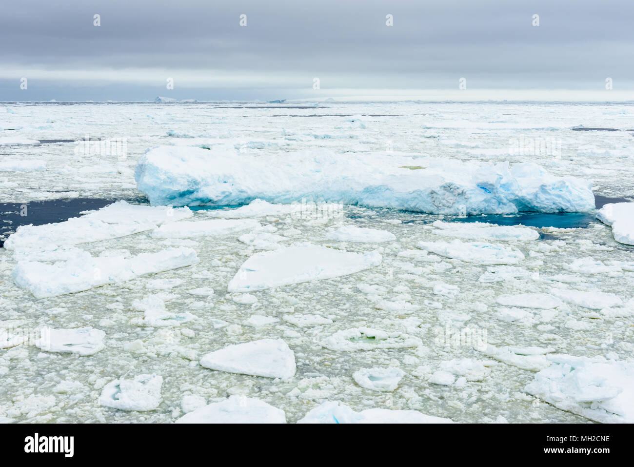 Ice landscape of SOuth Georgia Stock Photo - Alamy