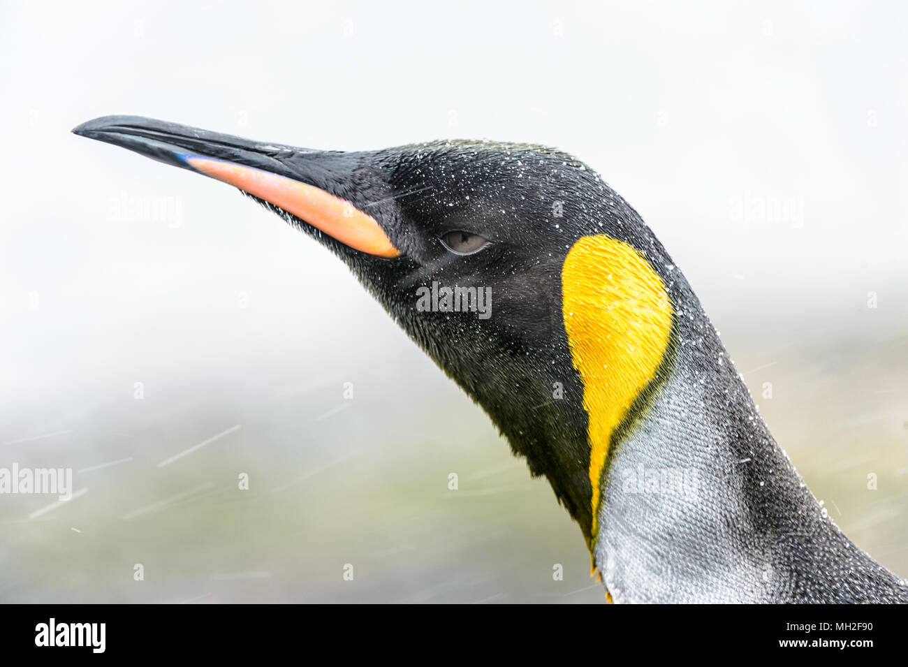 Landscape picture gorgeous black hi-res stock photography and images ...