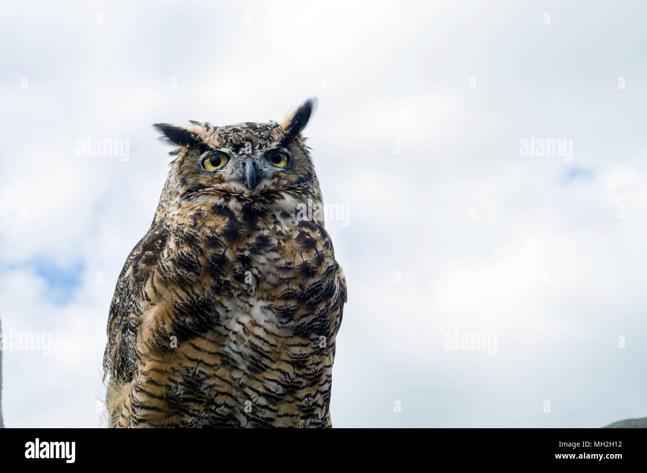 Quyon High Resolution Stock Photography and Images - Alamy