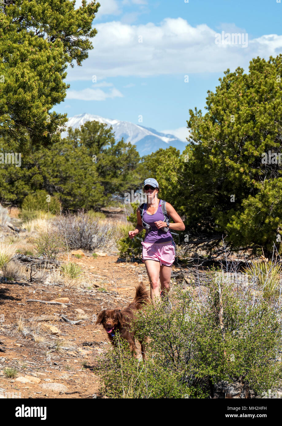 Female trail runner with her dog; Little Rainbow Trail near Salida ...