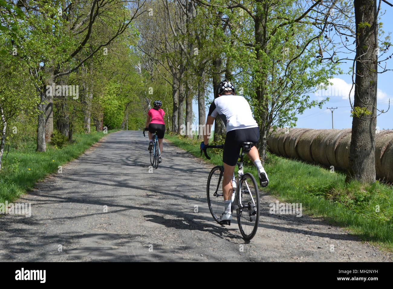 Spring bike riding through tree avenue, Young couple on bikes riding ...