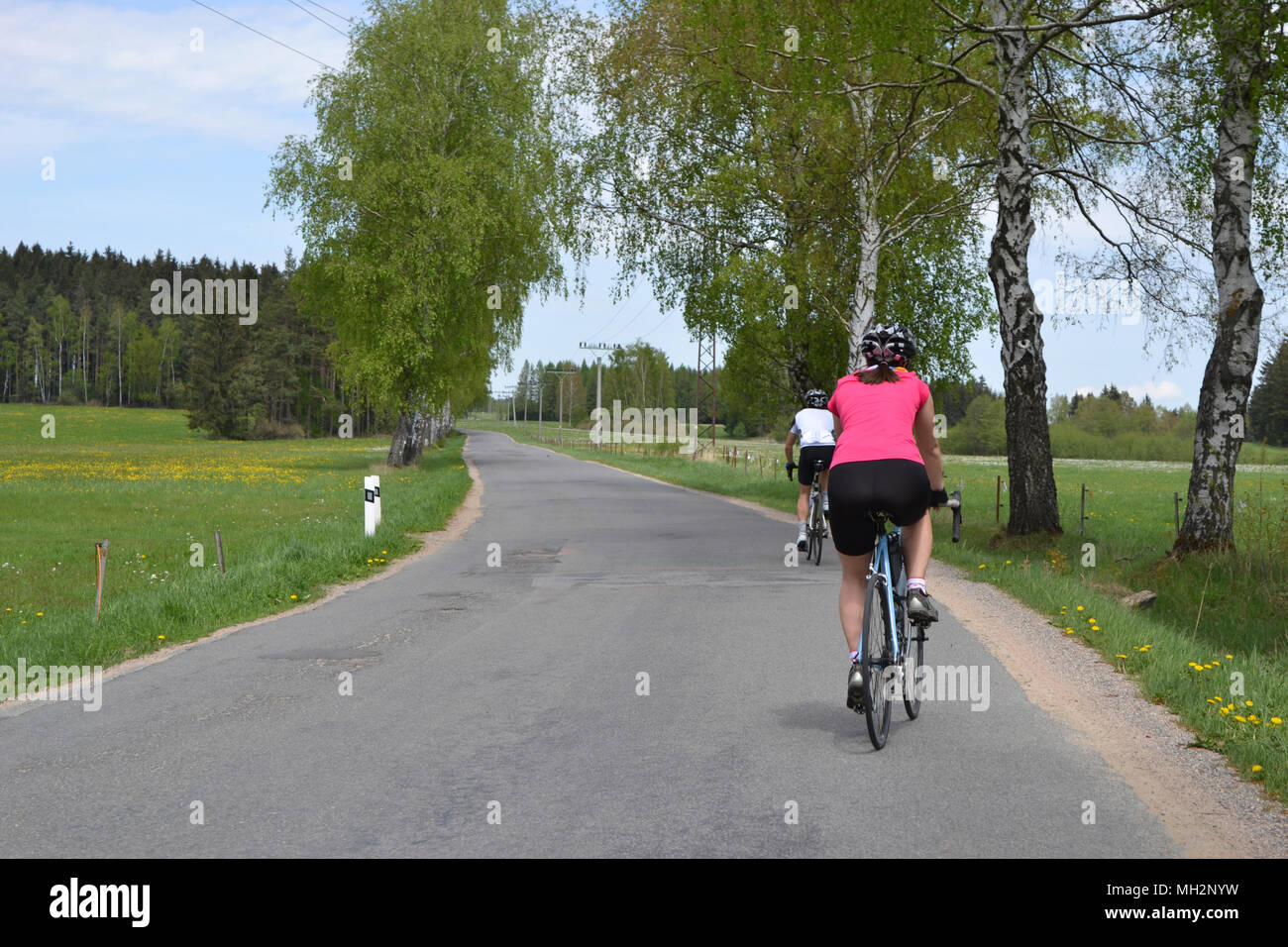 Spring bike riding through tree avenue, Young couple on bikes riding ...