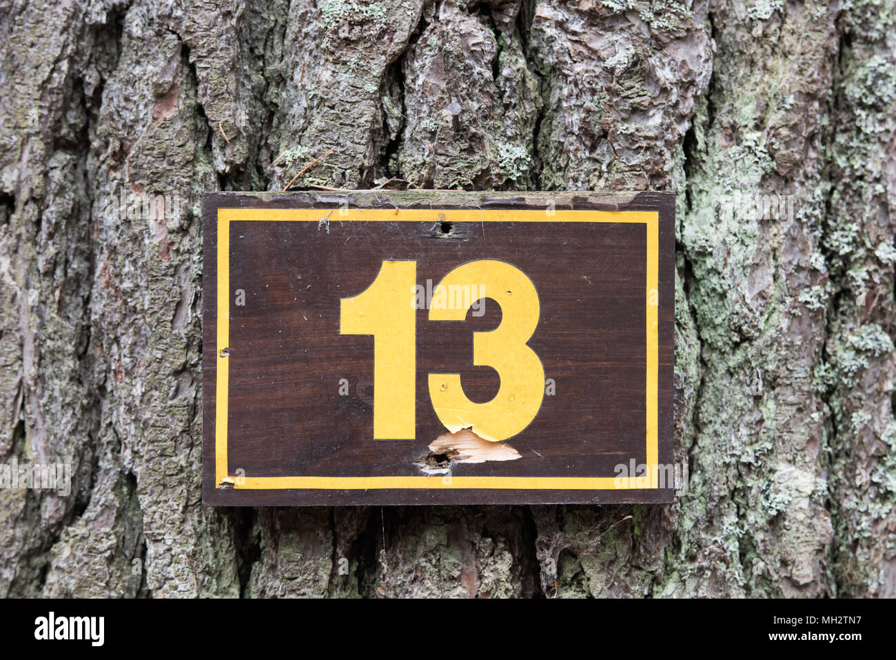 A wooden sign with number 13 fastened to a tree in a campground ...