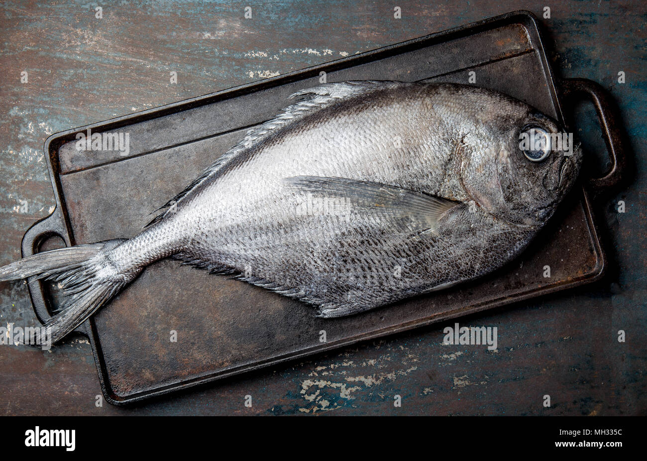 Food background with raw fresh fish reineta, herbs, olil and lemon. Top ...