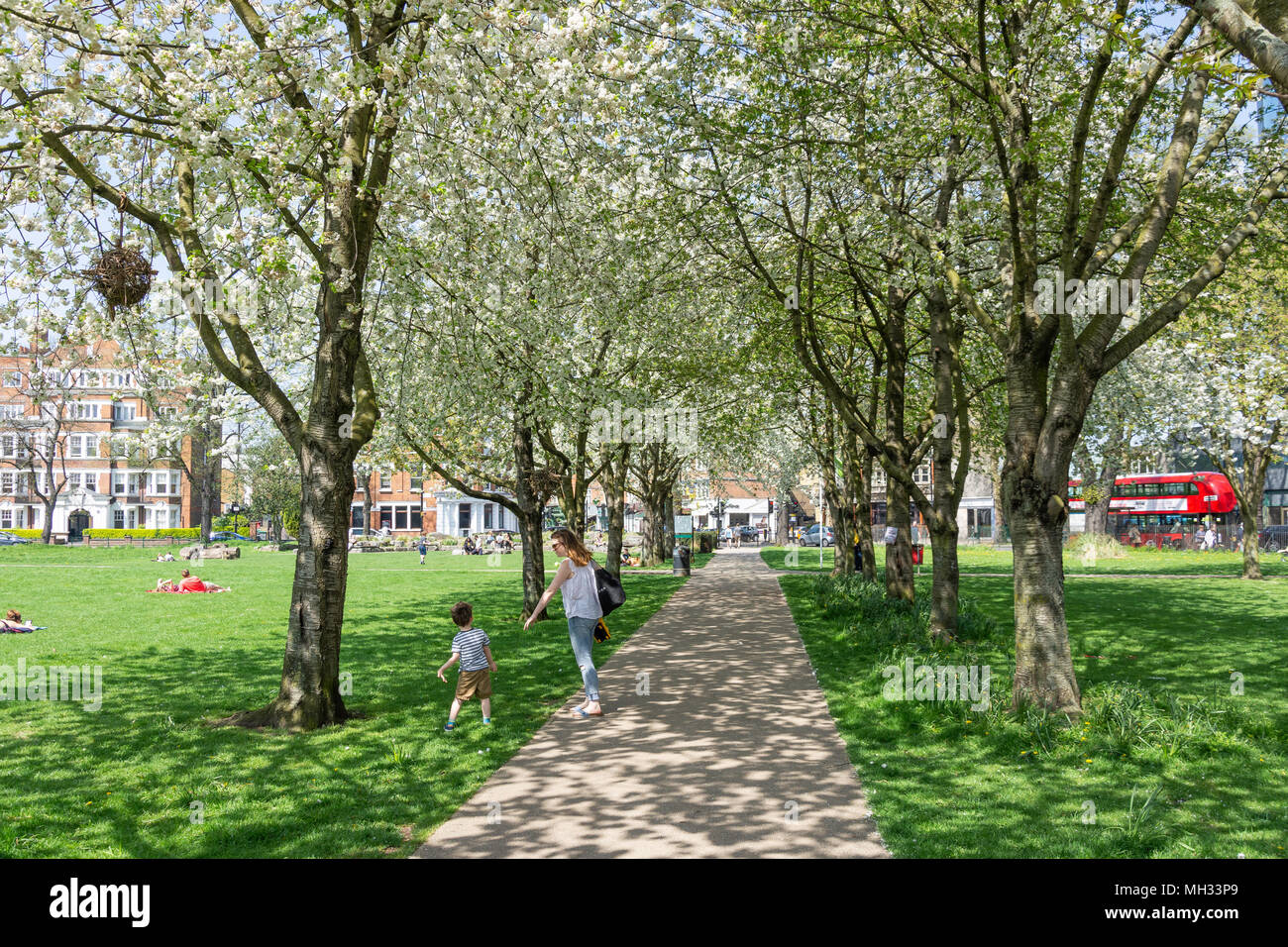 Turnham Green in Spring, Chiswick, London Borough of Hounslow, Greater ...