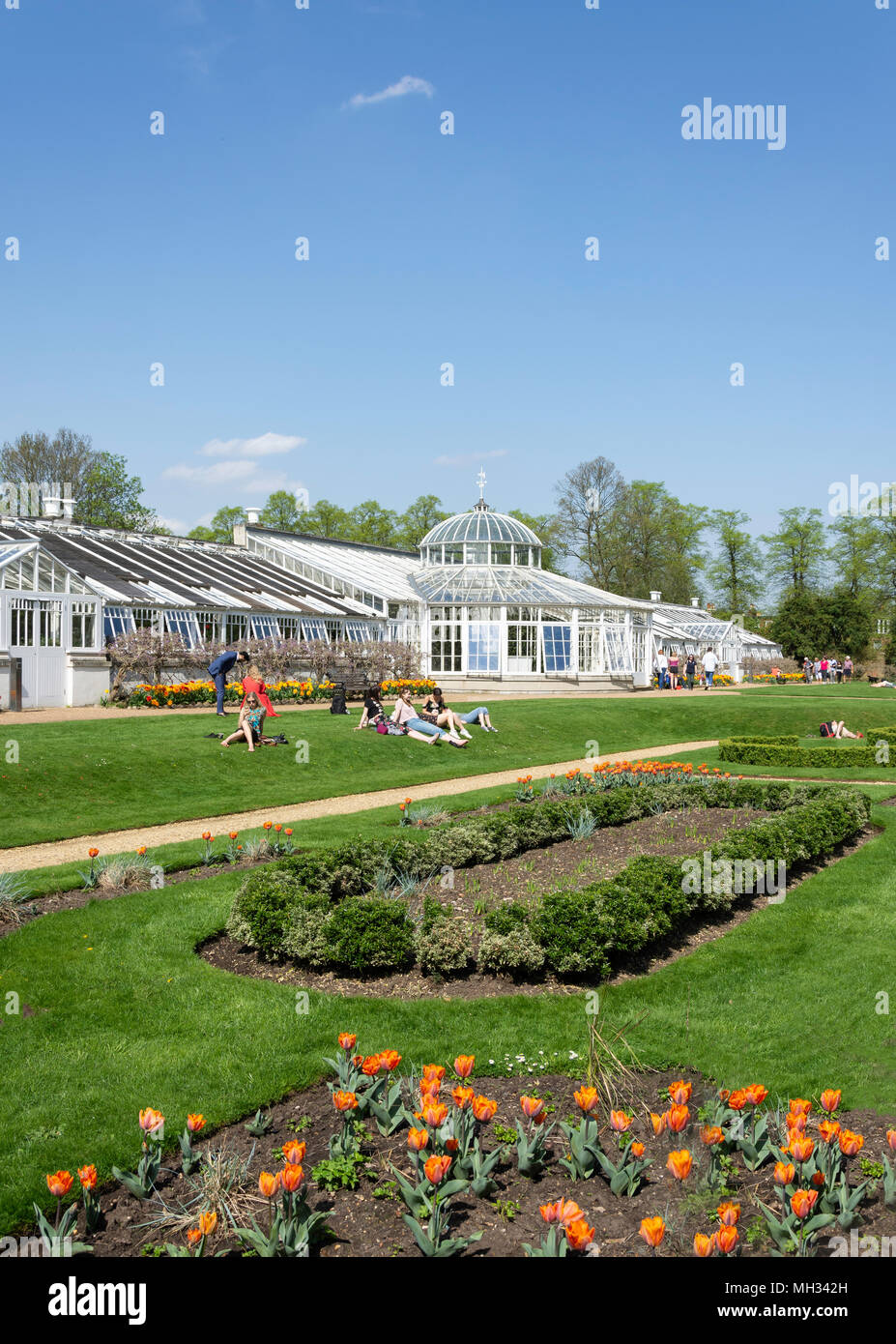 The Conservatory ‌in Chiswick House gardens, Burlington Lane, Chiswick ...