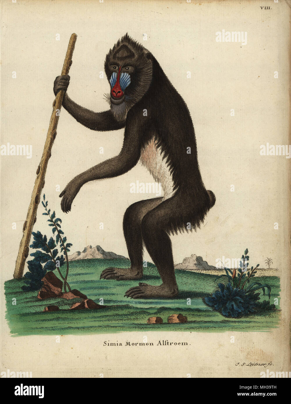 Johann christian hi-res stock photography and images - Alamy