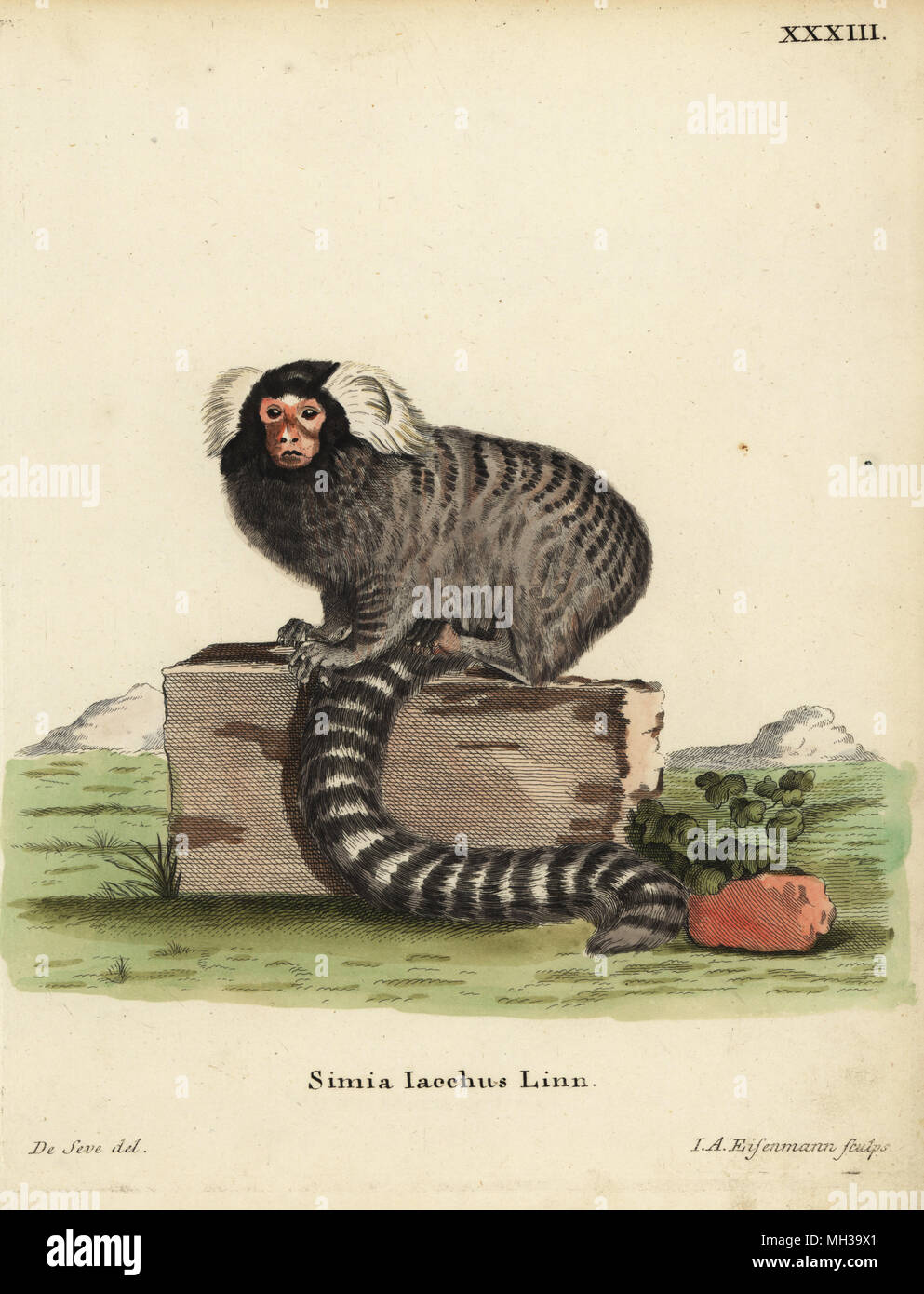 Iacchus High Resolution Stock Photography and Images - Alamy