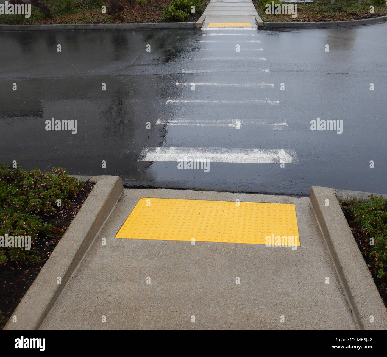 Rainy day cross walk with yellow traction pads on wet pavement Stock ...