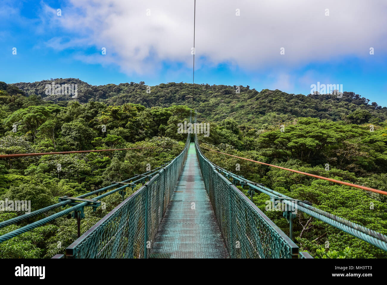 Hanging Bridges in Cloudforest - Costa Rica Stock Photo - Alamy