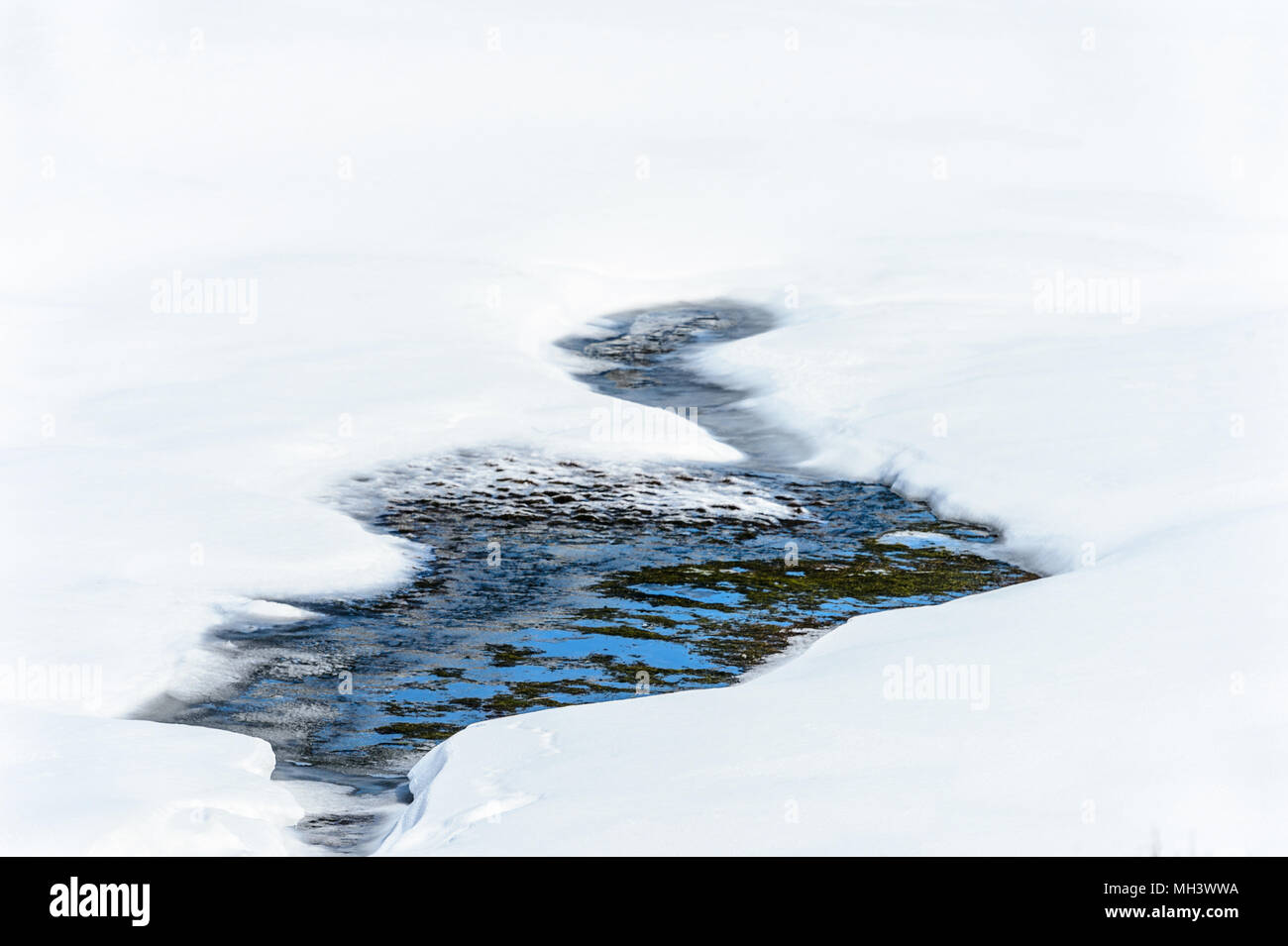 Crash over the ice. South Georgia, South Atlantic Ocean Stock Photo - Alamy