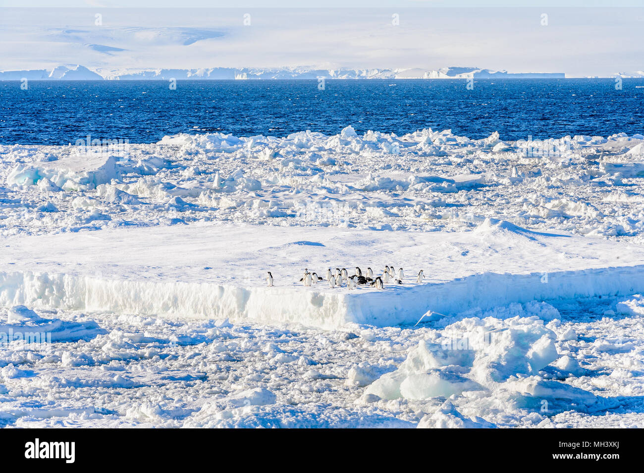Huge ice pieces float in Antarctica Stock Photo - Alamy