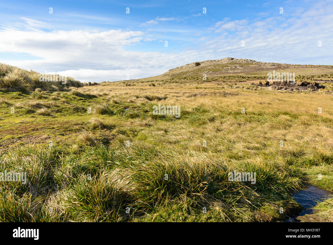 Nature of the Falkland Island, grass and sky Stock Photo - Alamy
