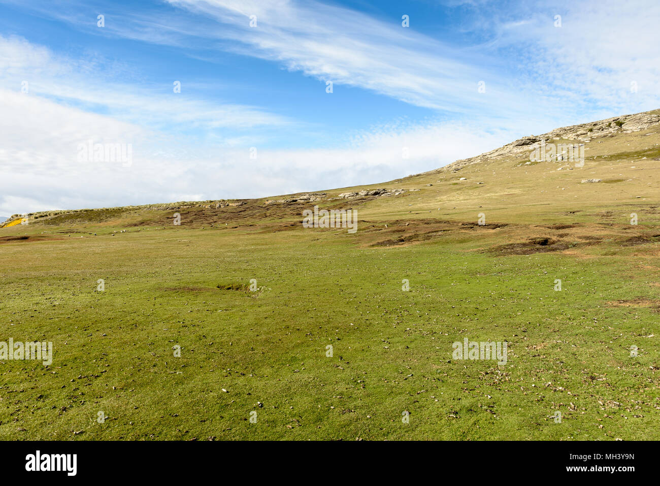 Nature of the Falkland Island, grass and sky Stock Photo - Alamy