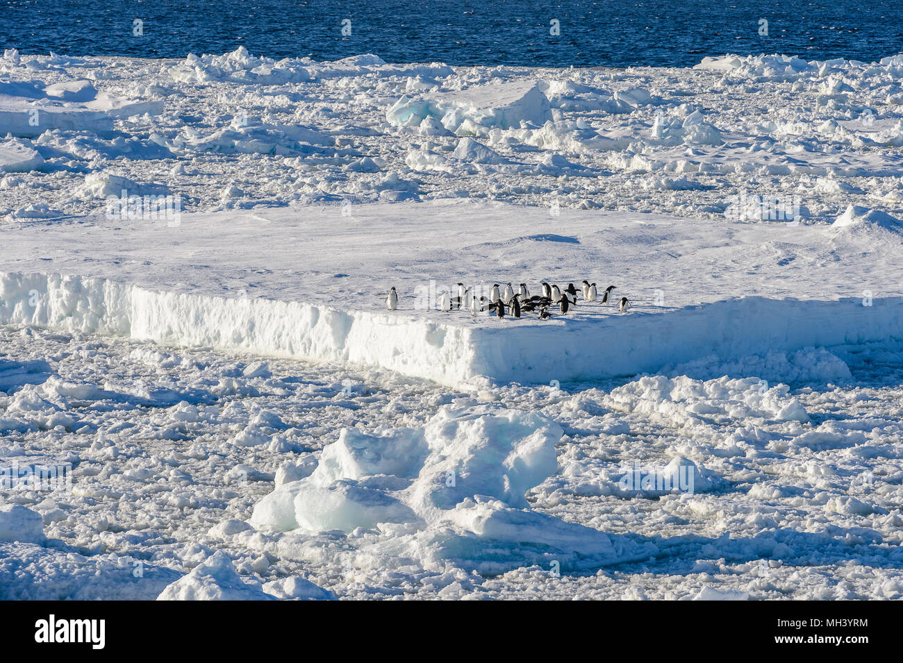 Beautiful nature of ANtarctica Stock Photo - Alamy