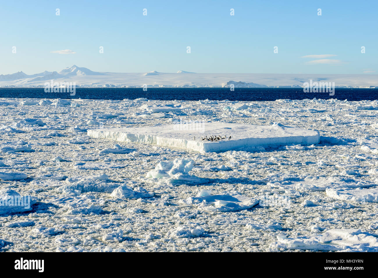 Beautiful nature of ANtarctica Stock Photo - Alamy