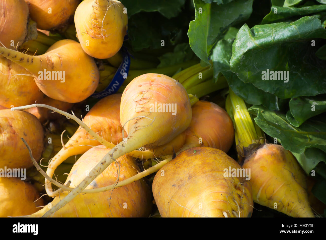 Yellow beets hi-res stock photography and images - Alamy