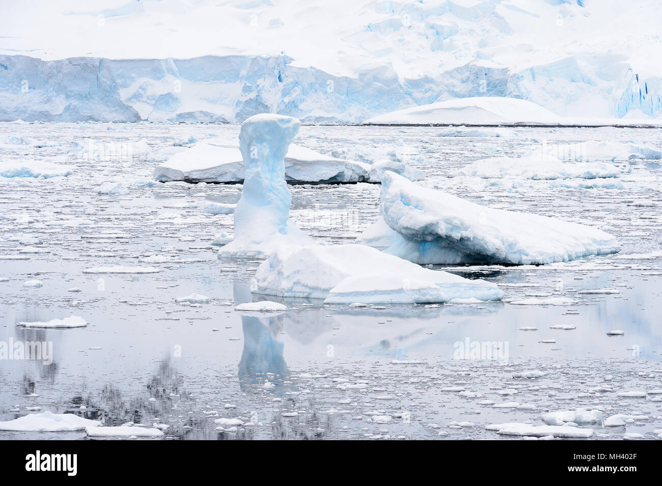 Beautiful landscape of icebergs, snow and ice of Antarctica Stock Photo ...