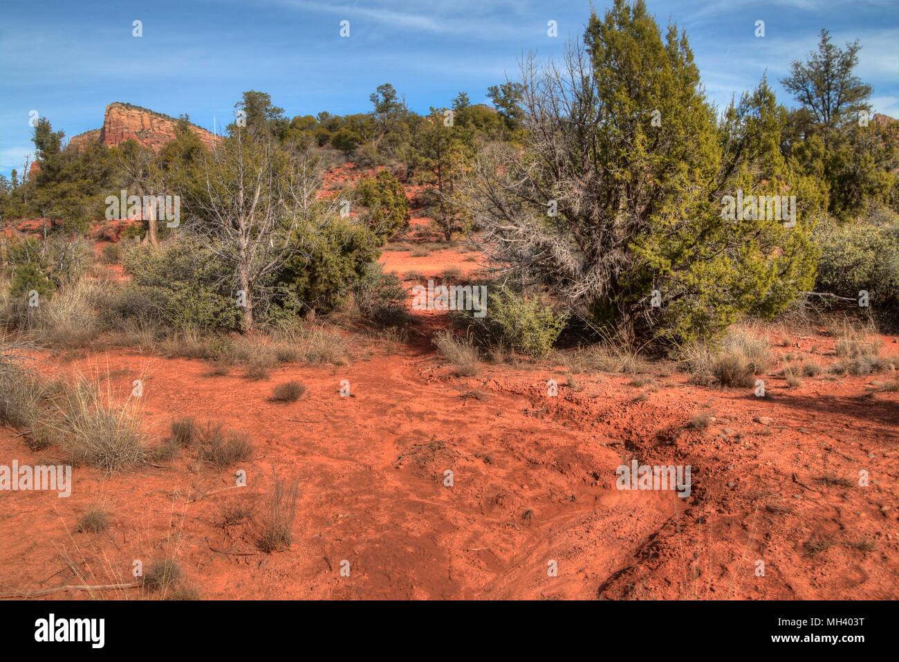 Sedona, Arizona has beautiful orange rocks and pillars in the desert ...