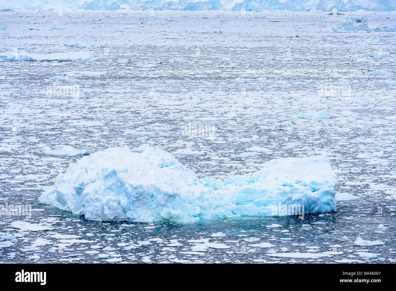 Pieces of ice on the surface of the ocean in Antarctica Stock Photo - Alamy