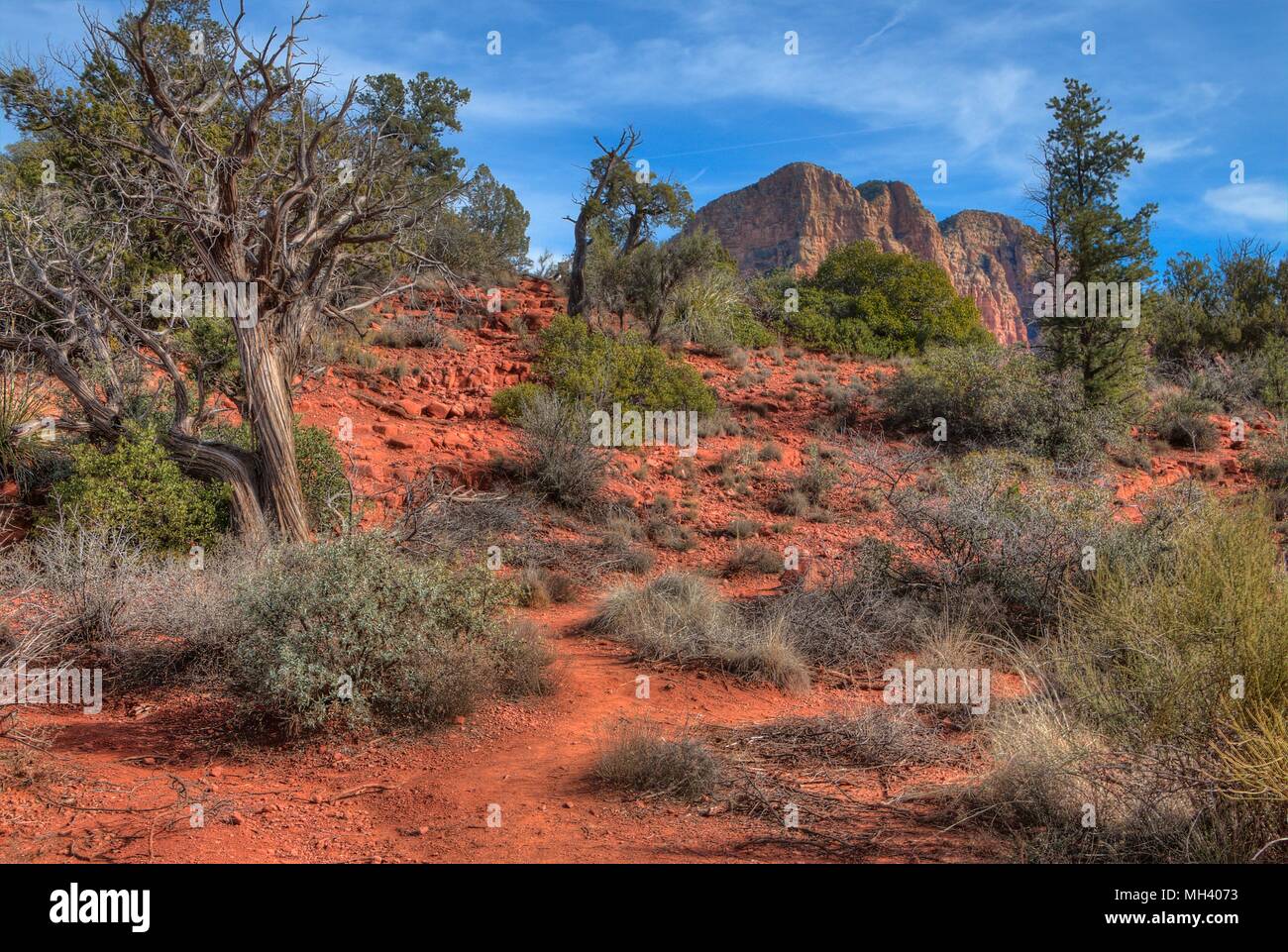 Sedona, Arizona has beautiful orange rocks and pillars in the desert ...
