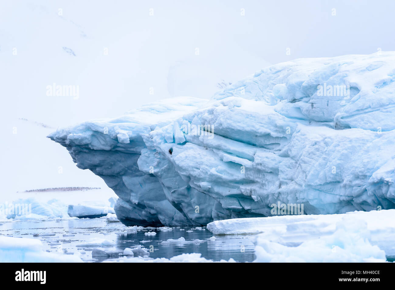 Iceberg on the surface of the Atlantic Ocean in Antarctica Stock Photo ...