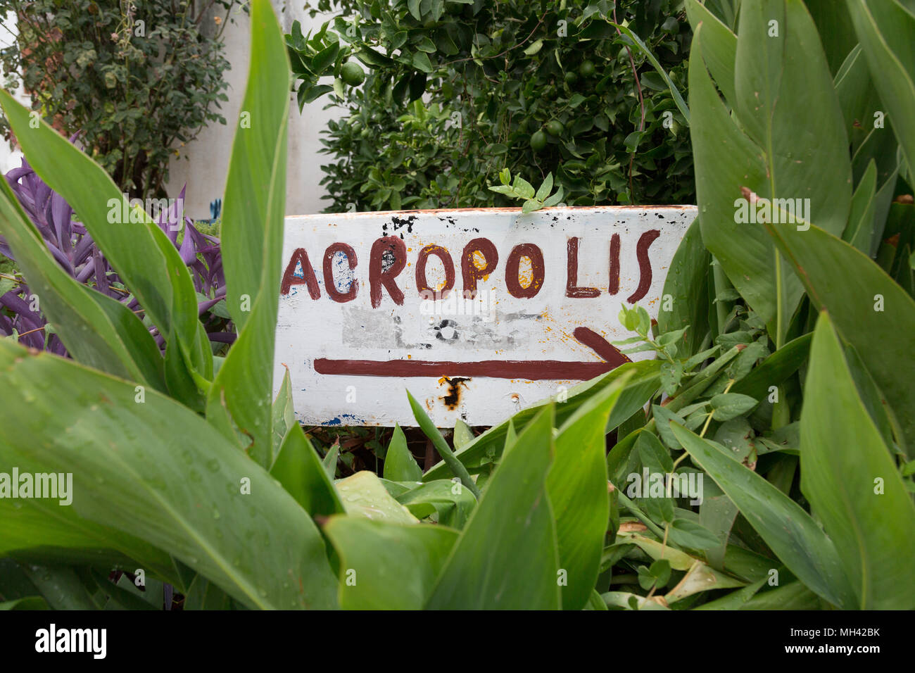 hand painted sign surrounded by garden directing you to the Acropolis ...