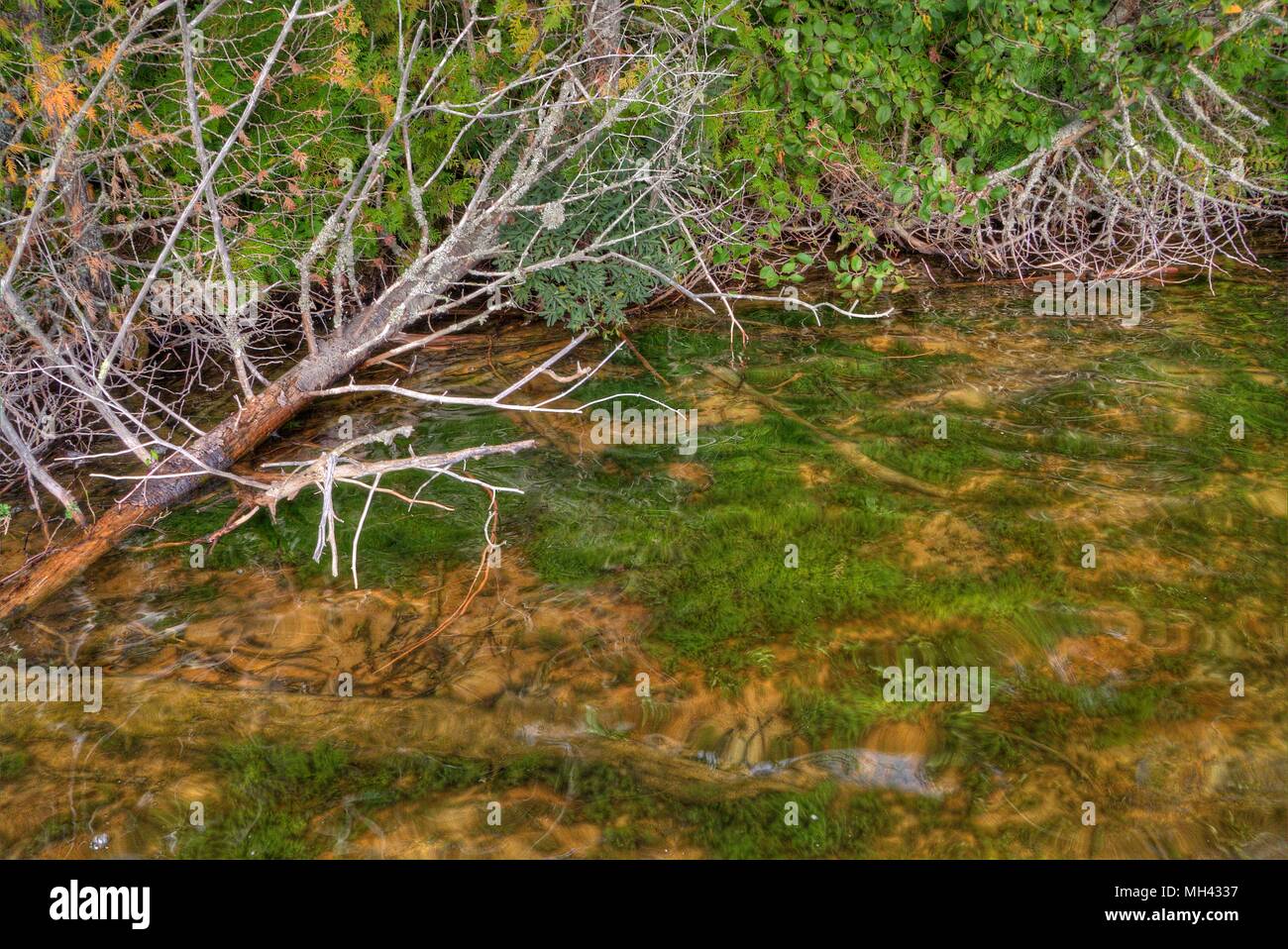 White Lake Provincial Park is an isloated park located near Mobert and ...