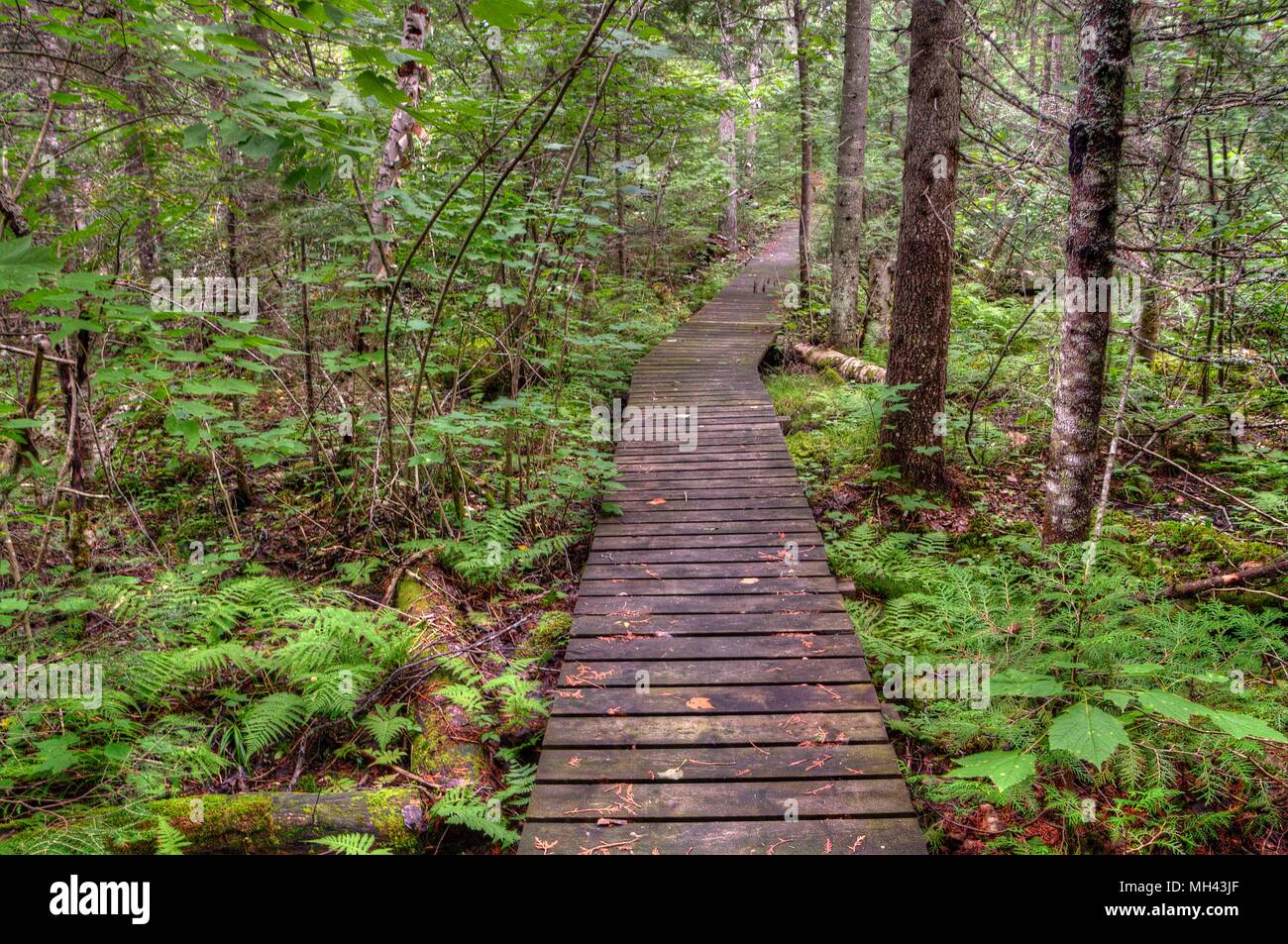 White Lake Provincial Park is an isloated park located near Mobert and ...