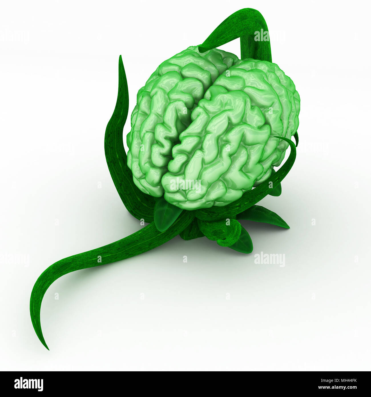 Green 3d vine plant bearing a human brain Stock Photo - Alamy