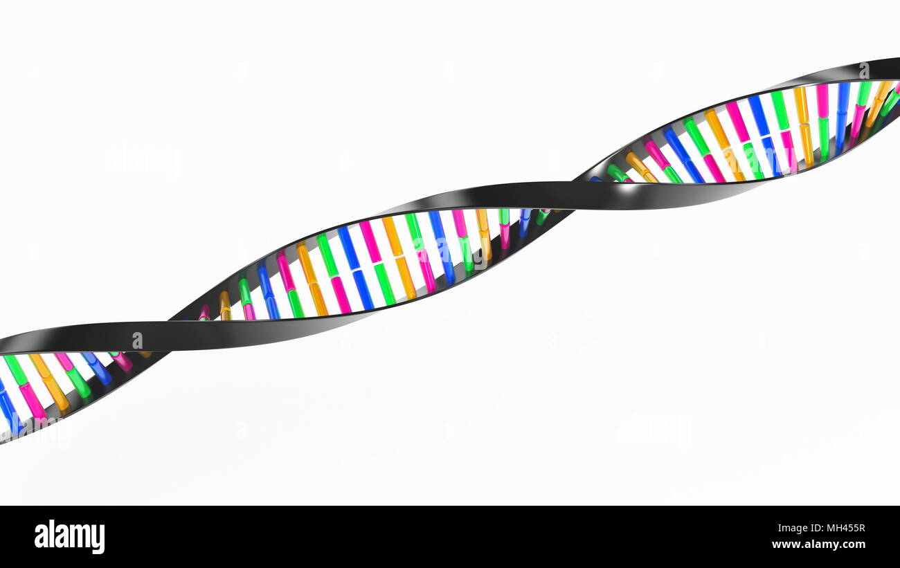 Dna model black and white hi-res stock photography and images - Alamy