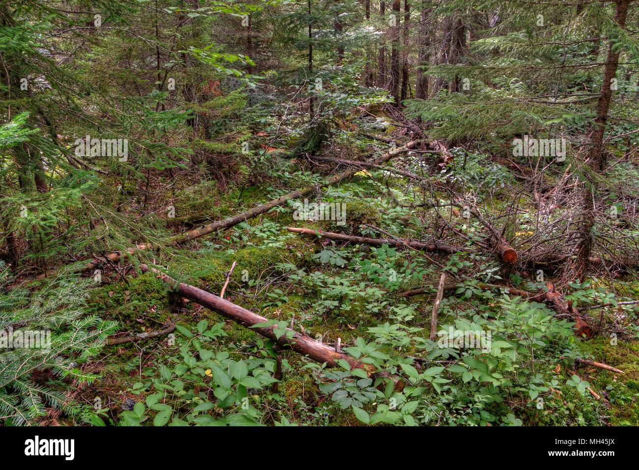 White Lake Provincial Park is an isloated park located near Mobert and ...