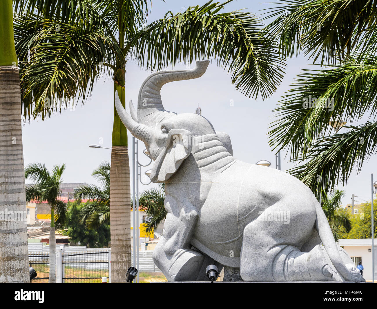 Elephant Knee High Resolution Stock Photography and Images - Alamy