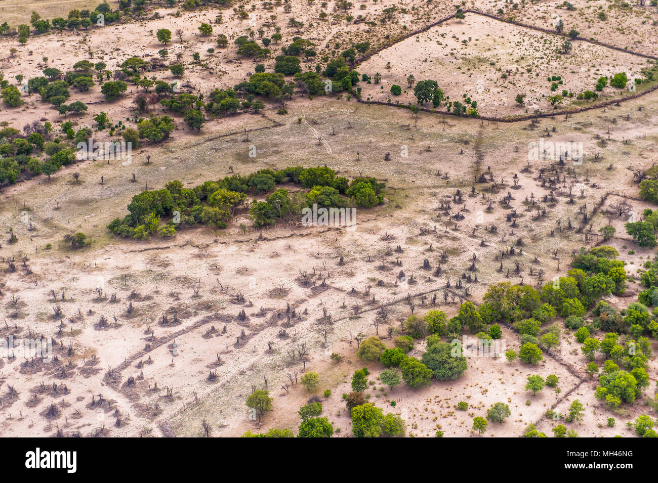Aerial view of nature of Botswana, Africa Stock Photo - Alamy