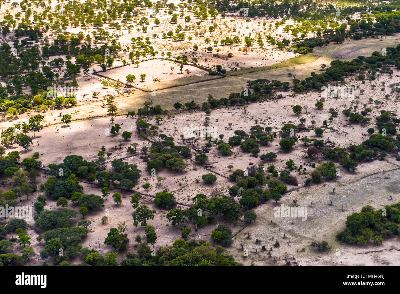 Aerial view of nature of Botswana, Africa Stock Photo - Alamy
