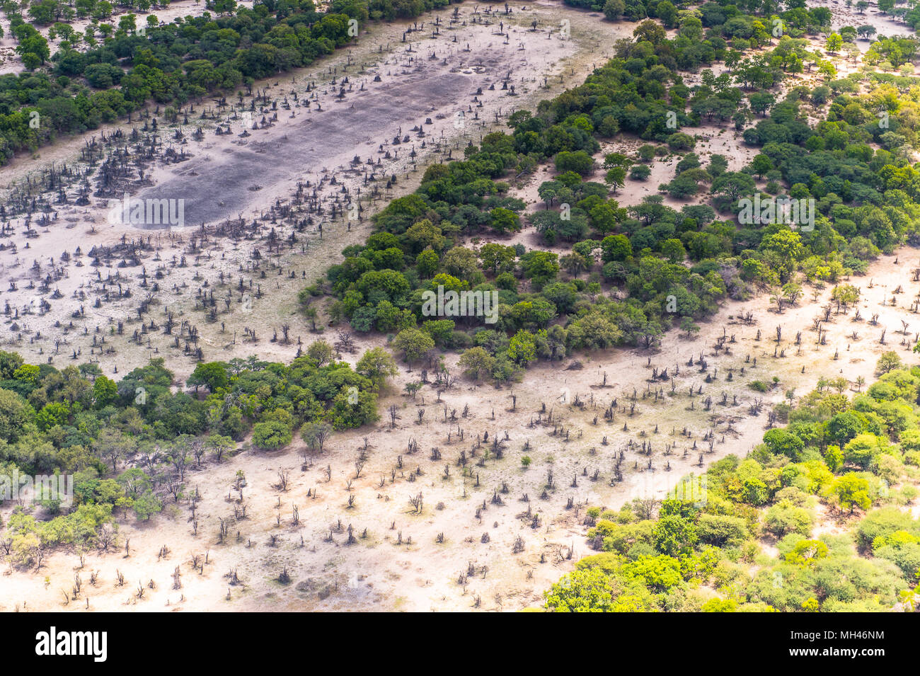 Aerial view of nature of Botswana, Africa Stock Photo - Alamy
