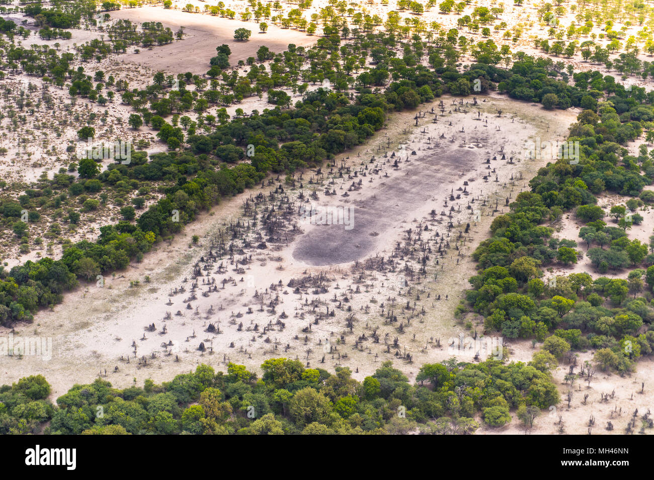 Aerial view of nature of Botswana, Africa Stock Photo - Alamy