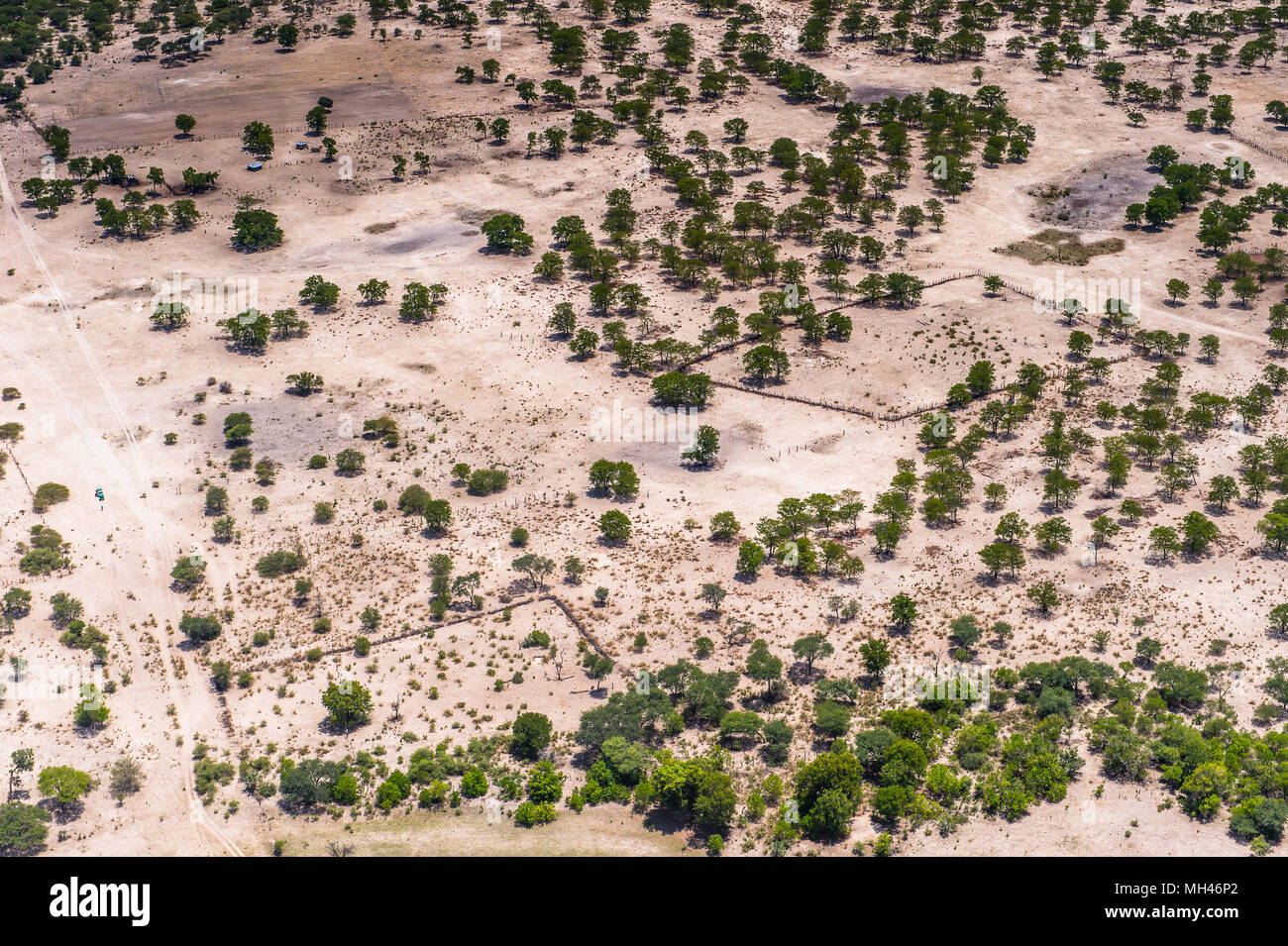 Aerial view of nature of Botswana, Africa Stock Photo - Alamy